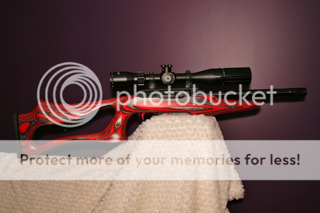 Charger Stock vs SS Evolution | Rimfire Central Firearm Forum